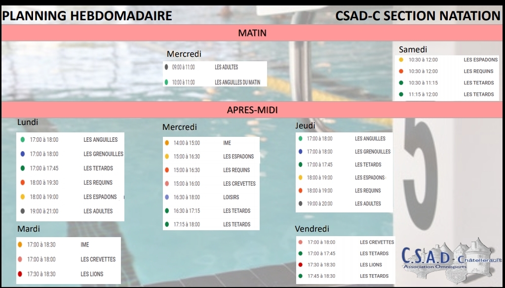 Natation - CSAD-C